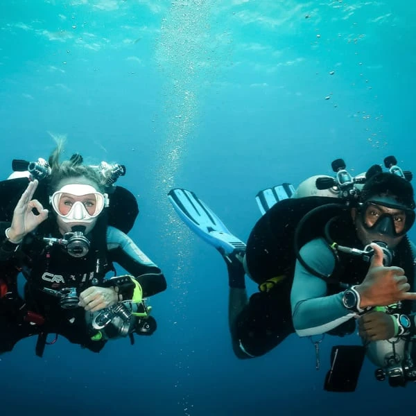 Diving Utila Blog - Odyssey Resort Utila